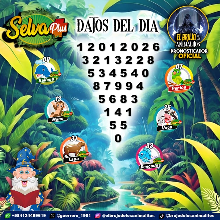 Pronósticos para Selva Plus hoy Lunes 12-01-2026 - El Brujo de los ...